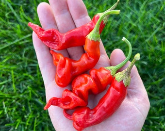 PupperPeppers - Etsy