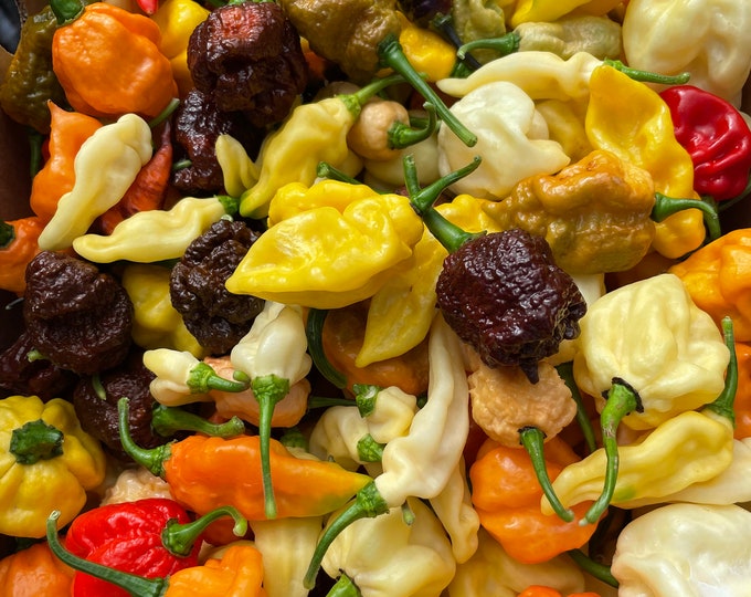 Assorted Hot Pepper Seeds - Etsy