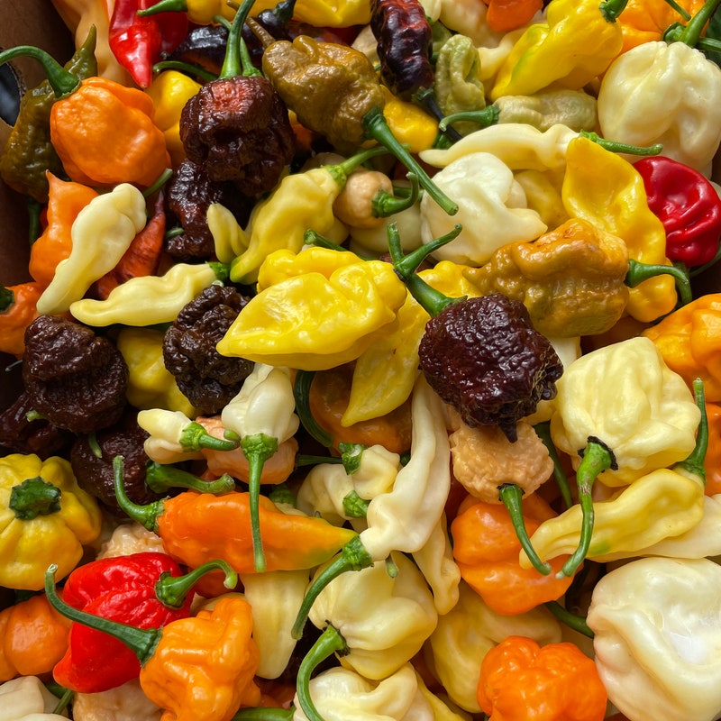 Variety Hot Pepper Packs - Etsy