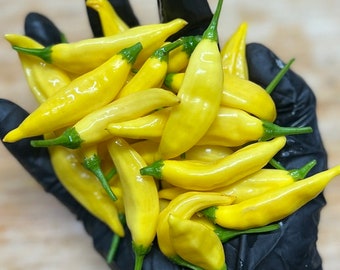 Lemon Drop Pepper Seeds - Etsy