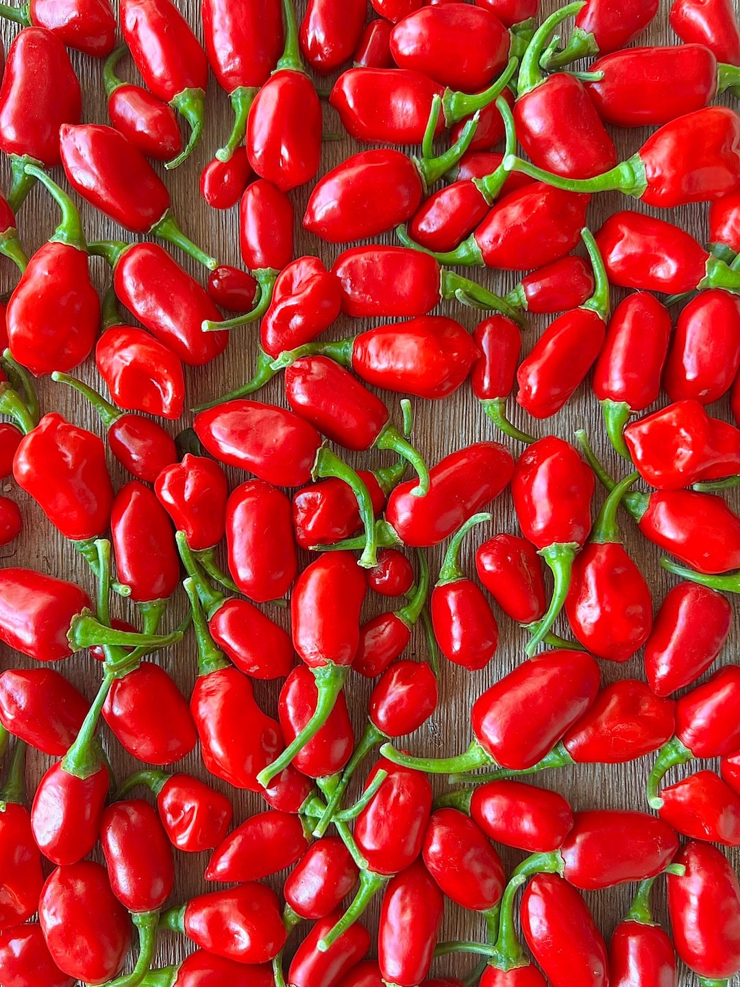 Jumbo Aji Charapita Red Pepper Seeds - Very Flavorful and Spicy Pepper ...