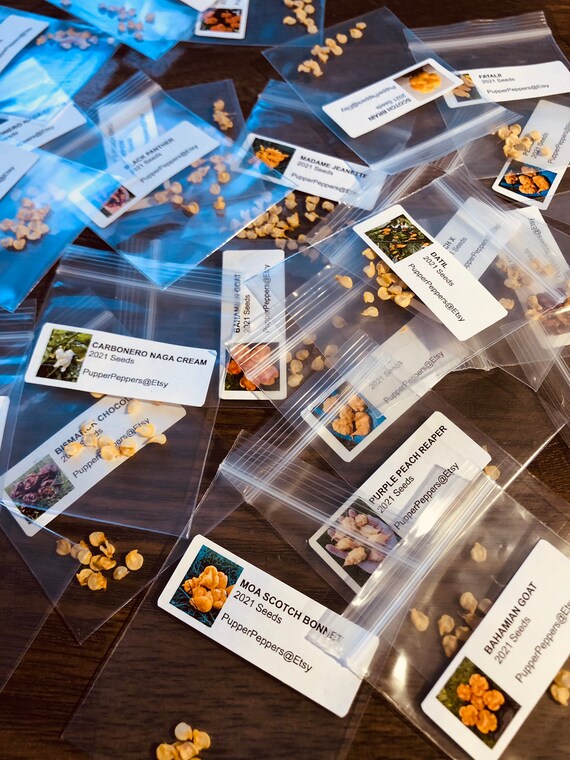 7-pack Variety Combo Deal Premium Rare Pepper Seed Packets | Etsy