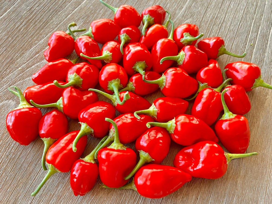 Peppapeach Red Pepper Seeds Pack - Non-gmo Organic Sweet Mild Pepper ...
