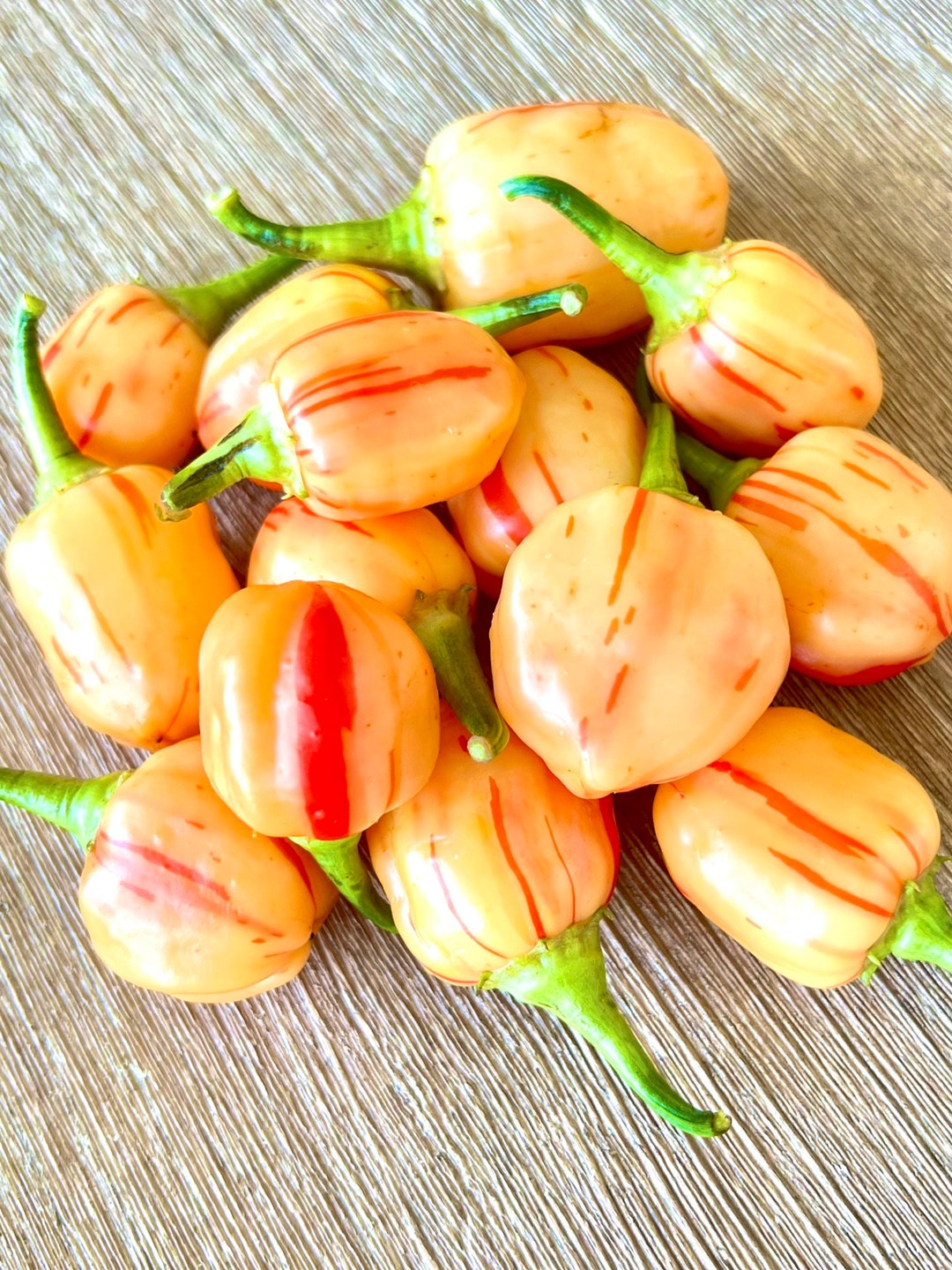 Peppapeach Stripey Pepper Seeds Pack - Non-gmo Organic Sweet Mild ...