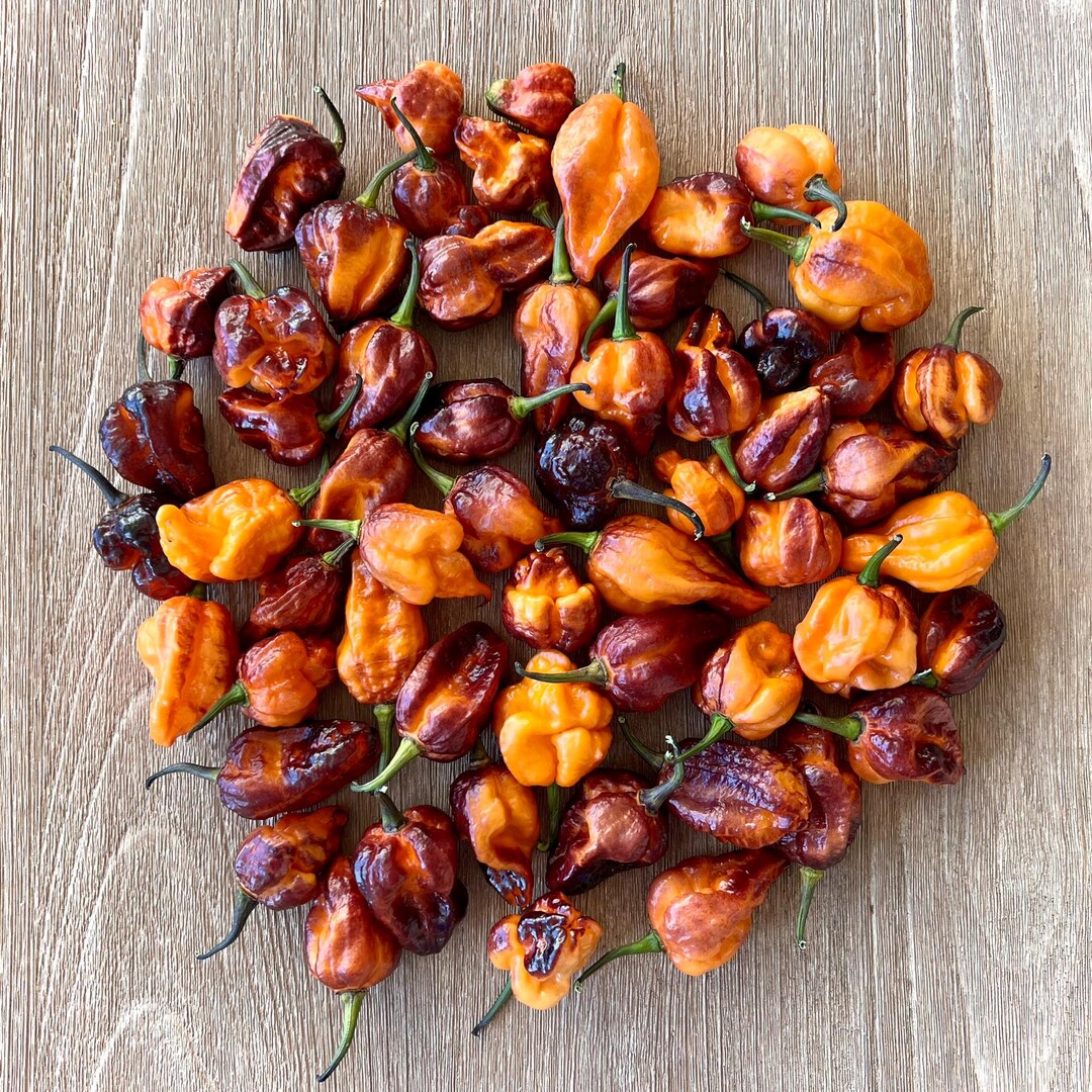 Pockmark Orange Superhot Pepper Seeds - Non-gmo Organic Superhot Pepper ...