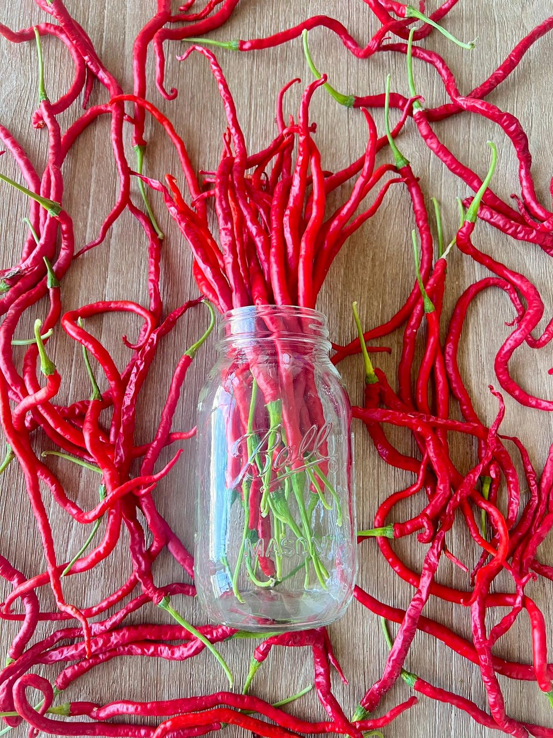 Thunder Mountain Longhorn Pepper Seeds - Non-gmo Organic Mild Pepper ...