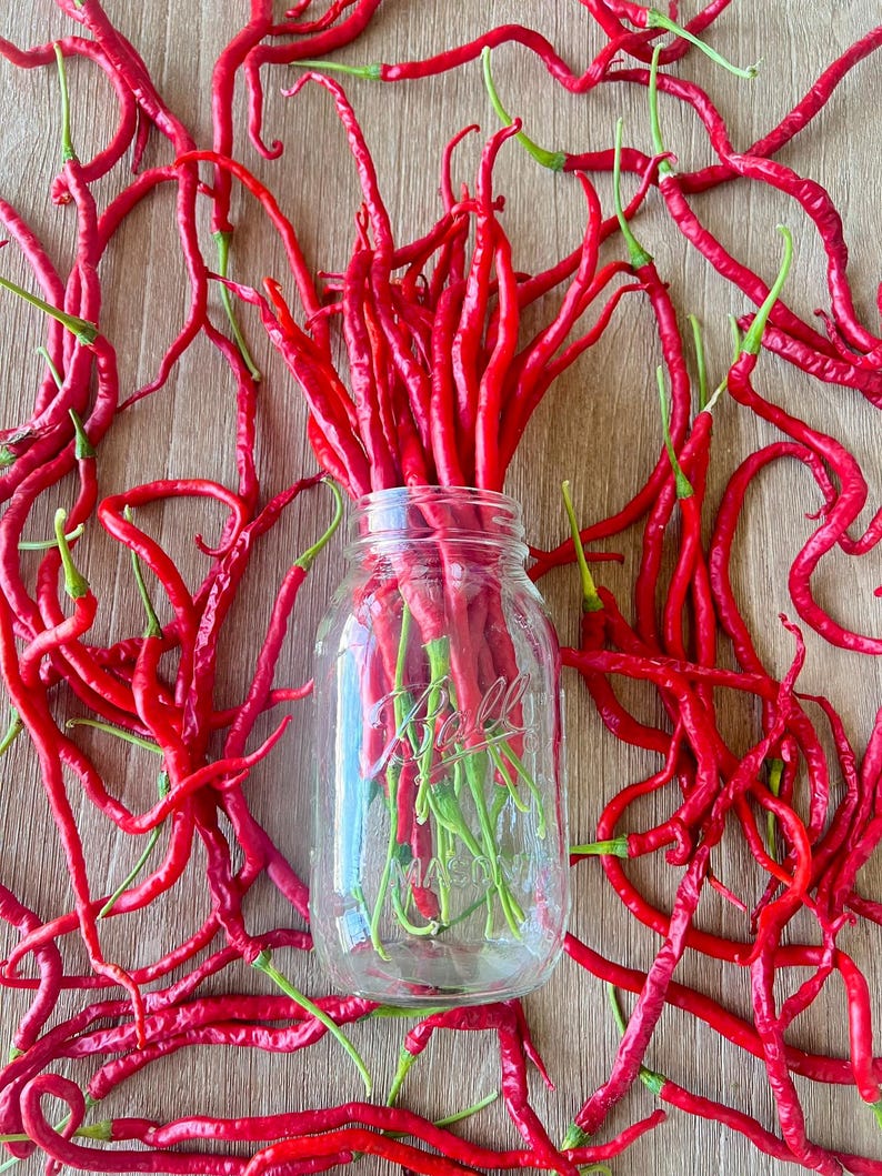 Thunder Mountain Longhorn Pepper Seeds - Non-gmo Organic Mild Pepper ...