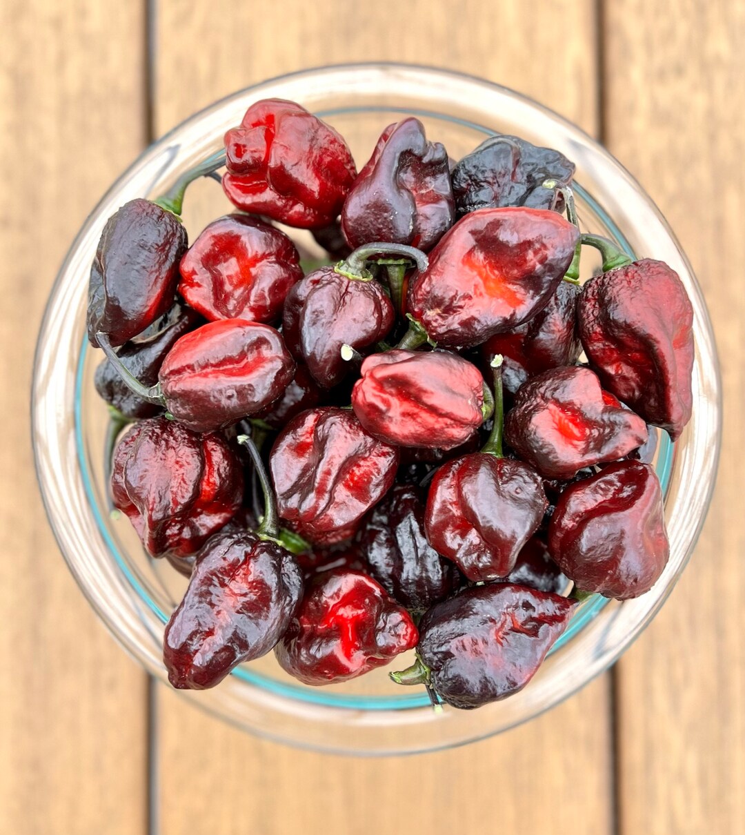 The King Pepper Superhot Pepper Seeds - Non-gmo Organic Vegetable ...