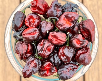 King of the North Pepper Seeds Organic - Etsy