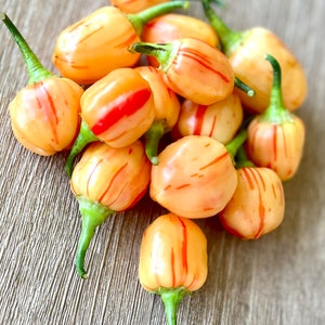Peppapeach Stripey Pepper Seeds Pack - Non-gmo Organic Sweet Mild ...