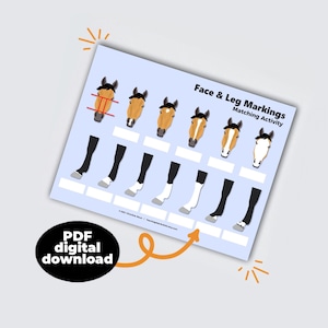 Horse Face & Leg Markings Matching Game | Teaching Tools for Adaptive ...