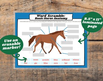 Horse Word Scramble - Etsy