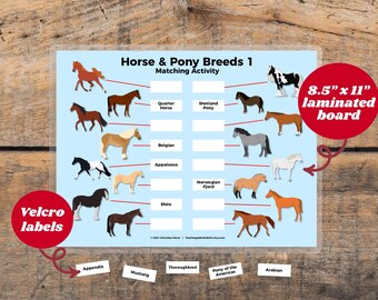Horse Matching Game - Etsy
