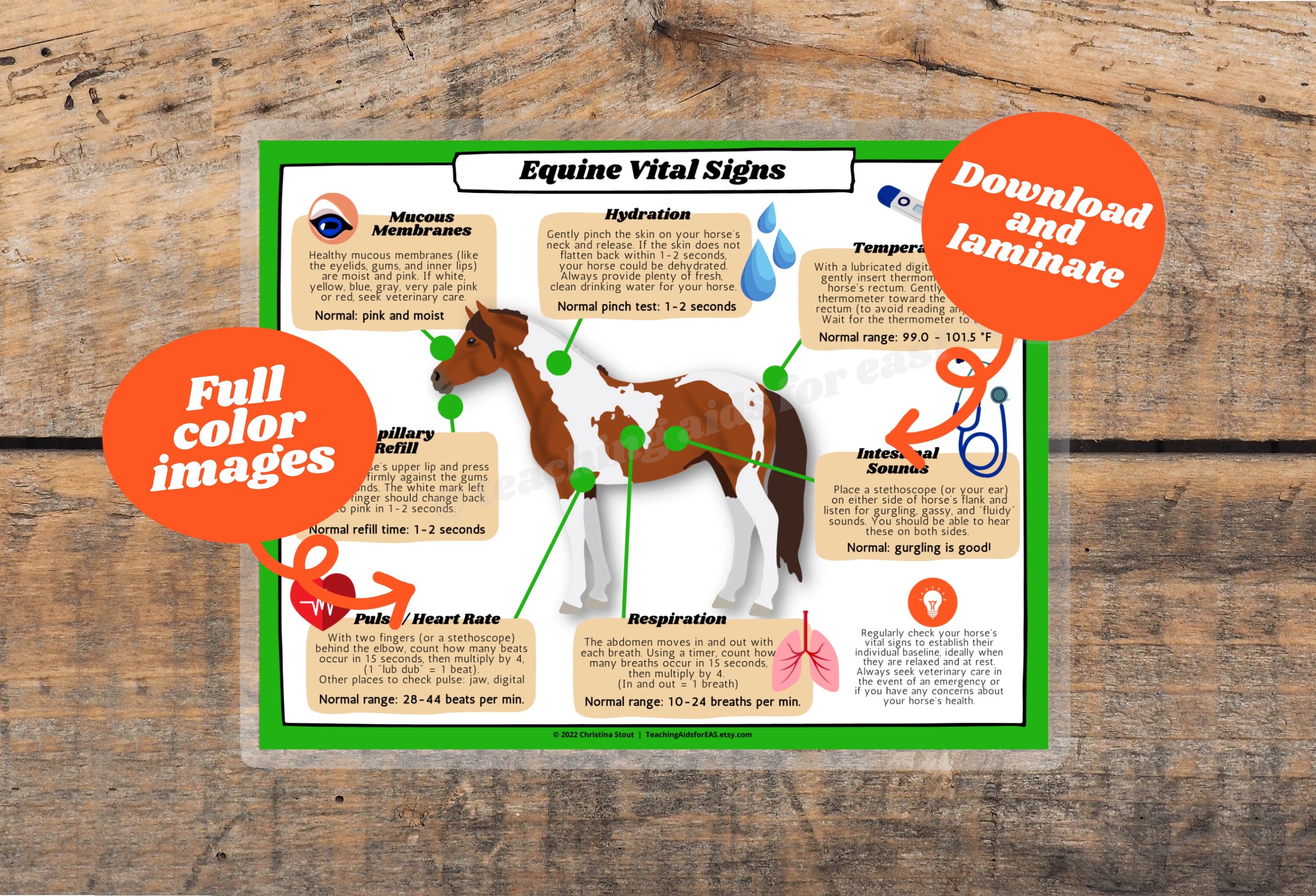 Equine Vital Signs Sheet (fahrenheit) | Printable Horsemanship ...