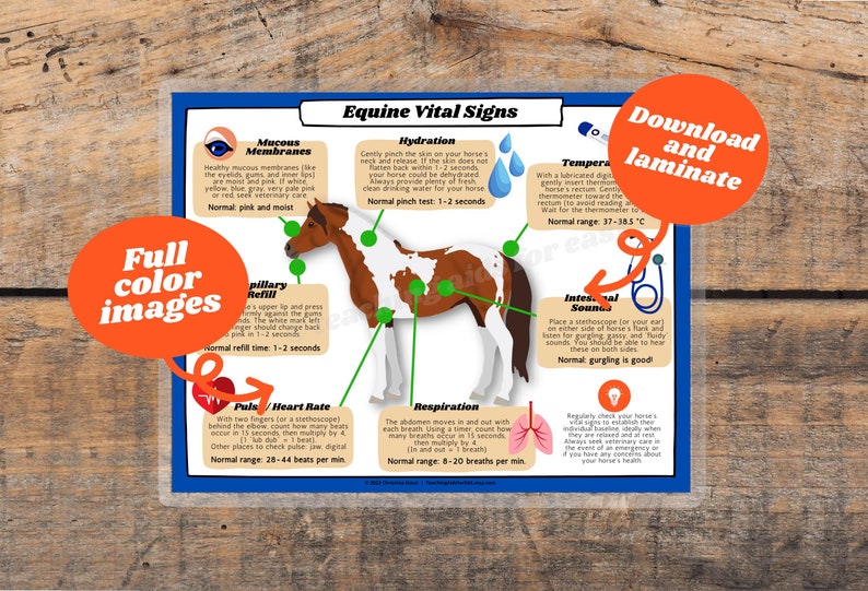 Equine Vital Signs celsius Printable Horsemanship Activities Teaching ...