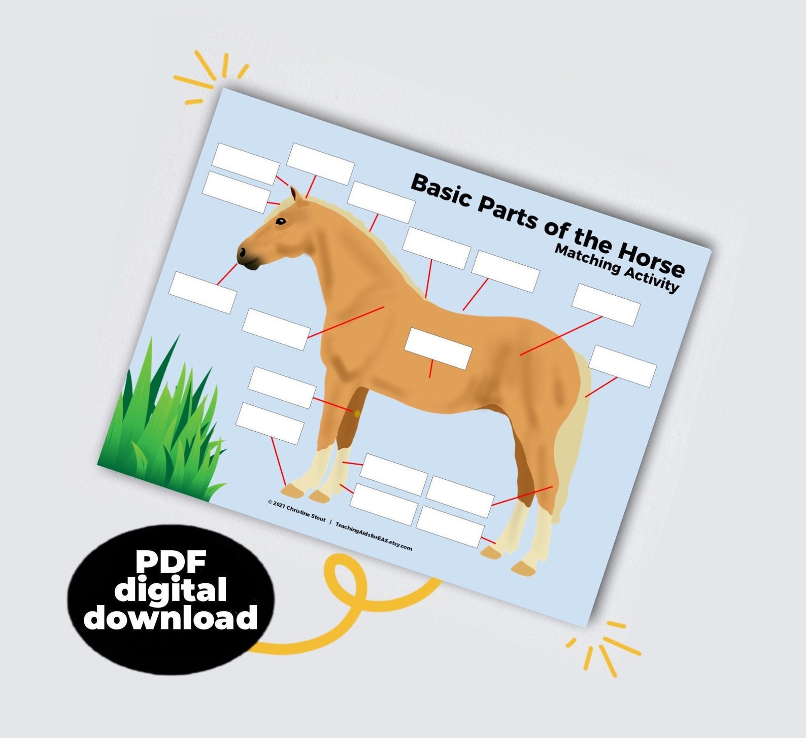 Basic Parts of the Horse Matching Game Teaching Tools for Adaptive ...