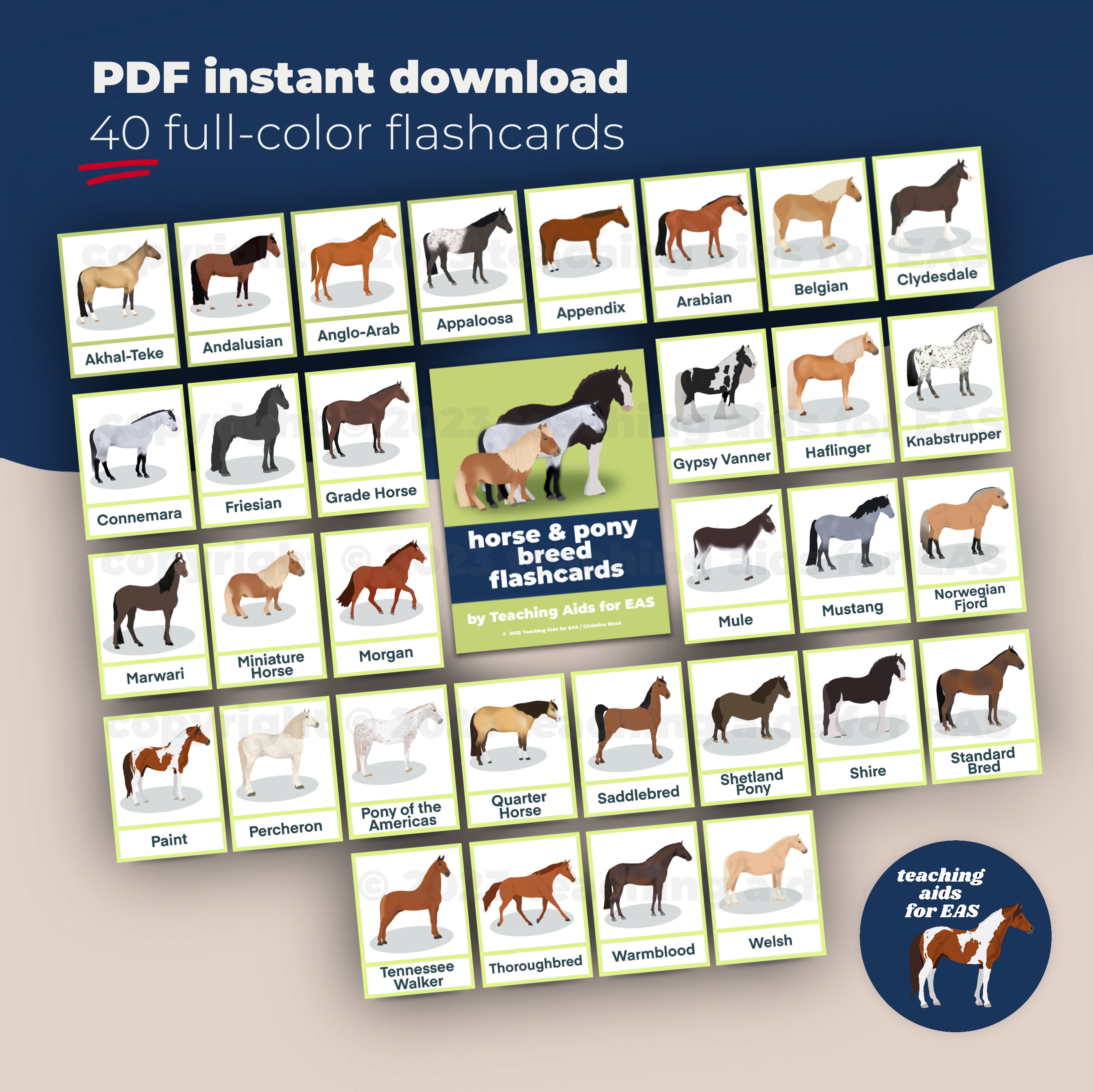 Horse Breed Flashcards 32 Full-color Illustrated Flashcards A-Z ...