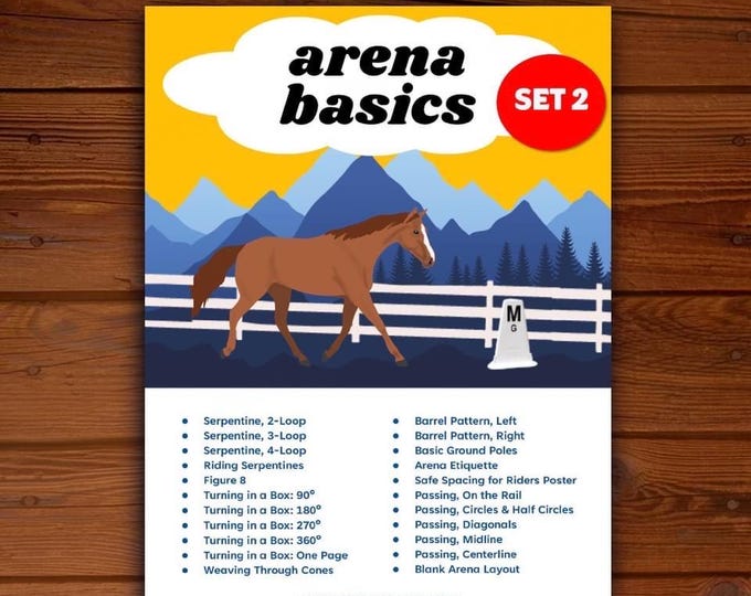 Arena Basics Set 2 | Patterns, Layouts, Lesson Planning | Teaching ...