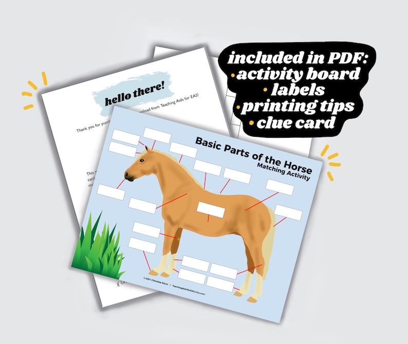 Basic Parts of the Horse Matching Game | Teaching Tools for Adaptive ...