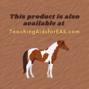 Word Scramble, Horse Breeds Printable Horsemanship Activities Teaching ...