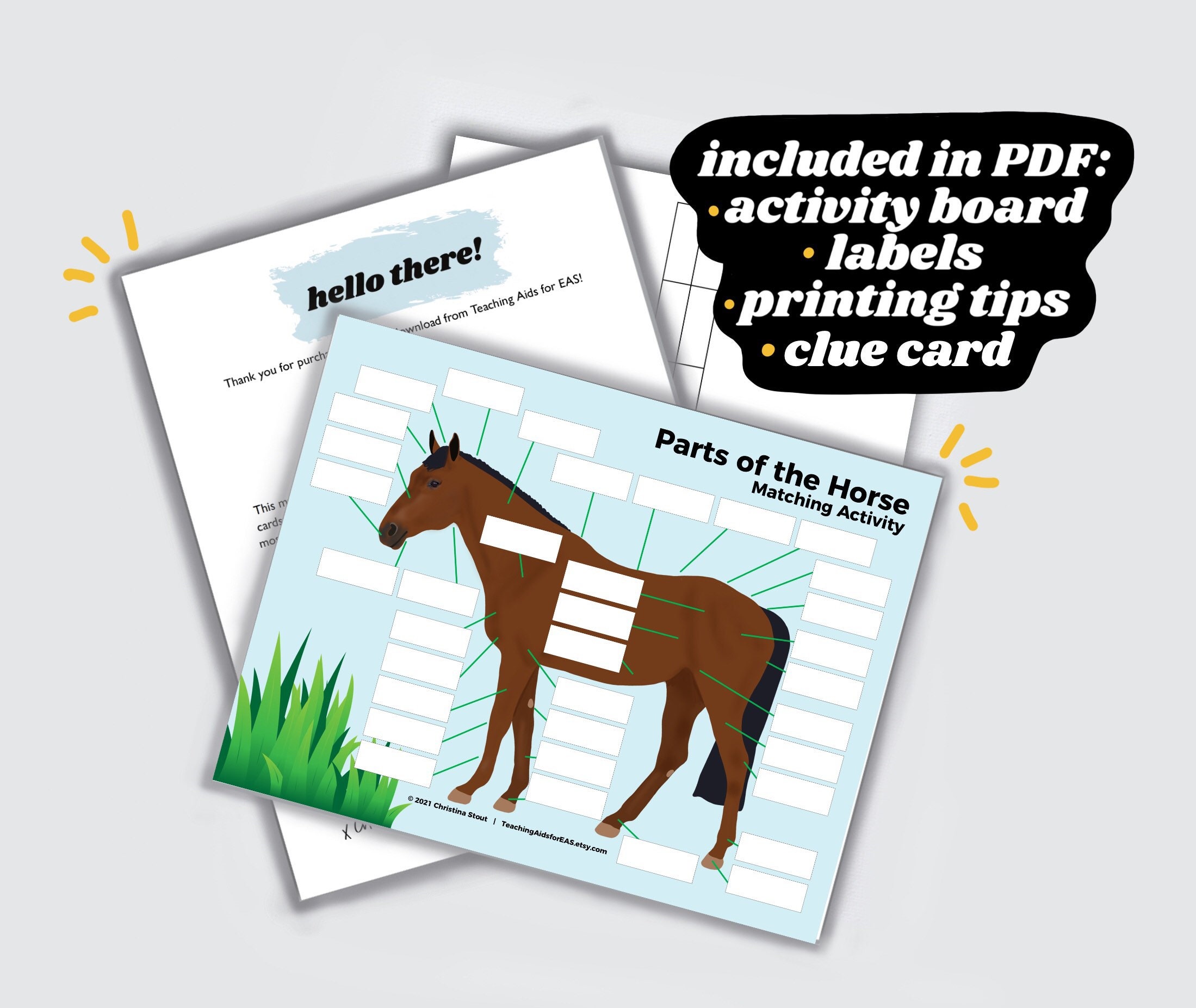 Parts of the Horse Matching Game | Teaching Tools for Adaptive Riding ...