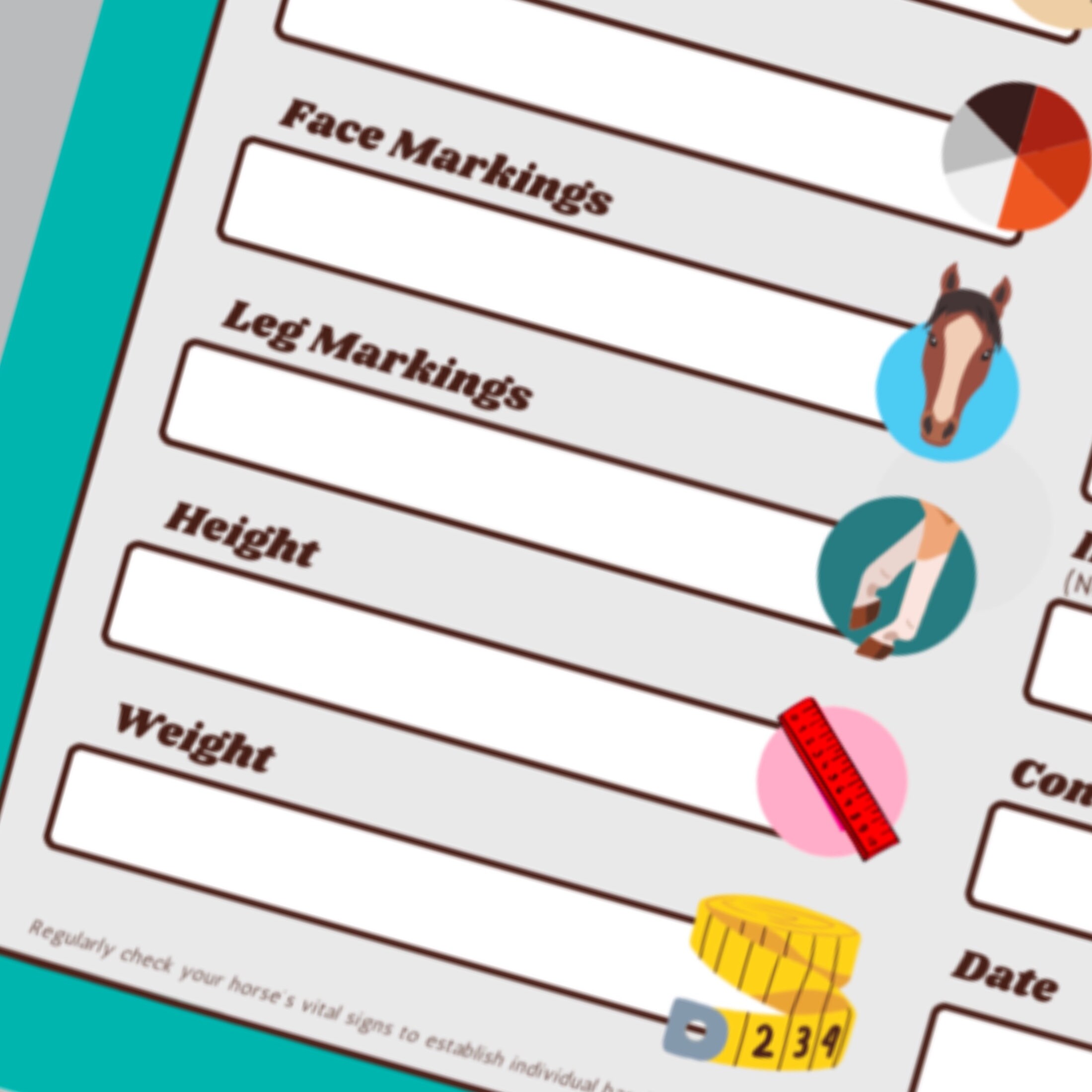Horse Profile & Health Check | Printable Horsemanship Activities ...