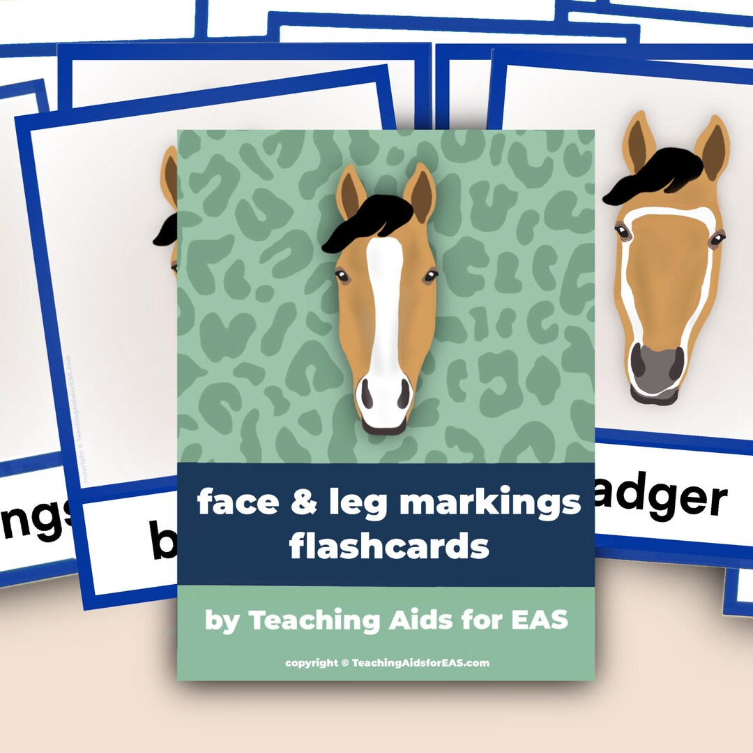 Face & Leg Markings Flashcards | 16 Full-color Illustrated Flashcards ...