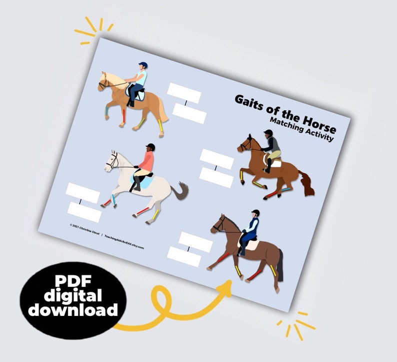 Gaits of the Horse Matching Game Teaching Tools for Adaptive Riding ...
