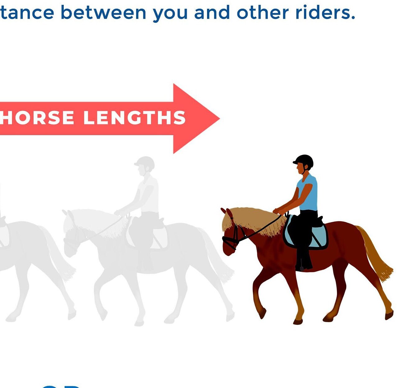 Safe Spacing Arena Etiquette Poster Teaching Tools for Adaptive Riding ...