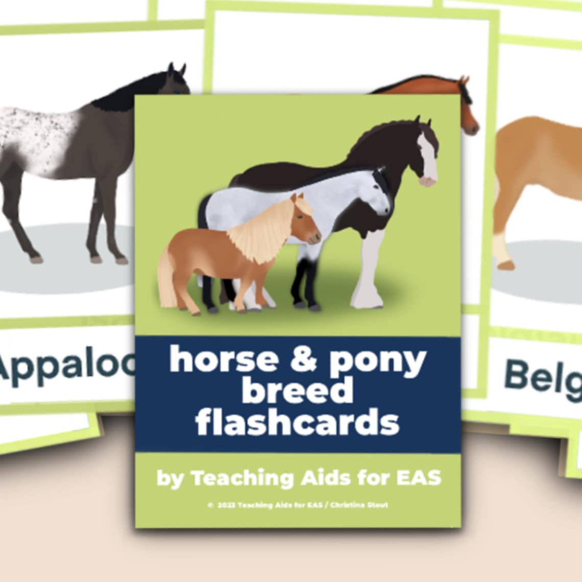 Horse Breed Flashcards 32 Full-color Illustrated Flashcards A-Z ...