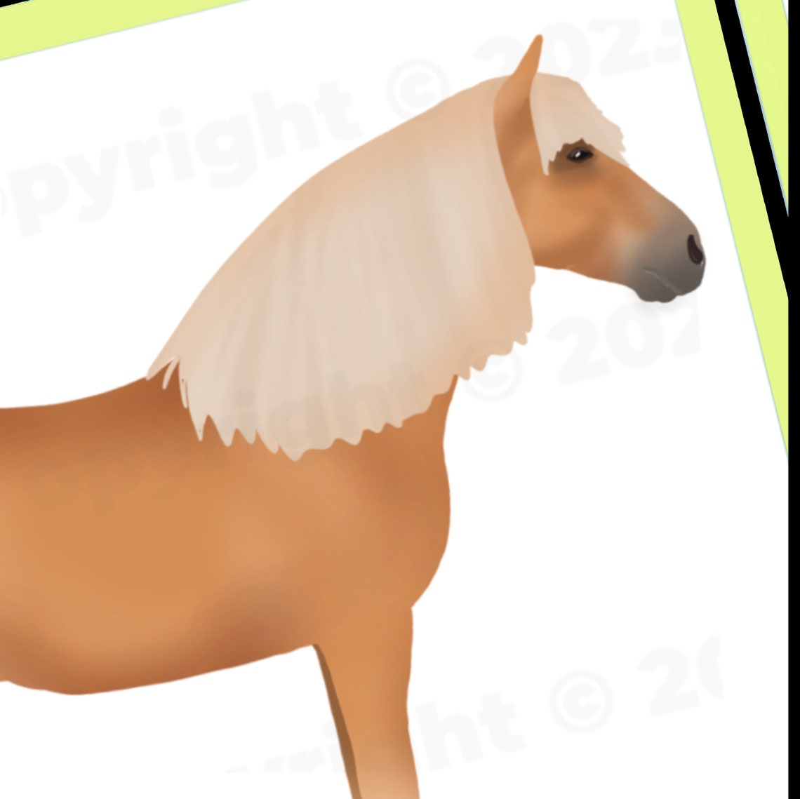 Horse Breed Flashcards 32 Full-color Illustrated Flashcards A-Z ...