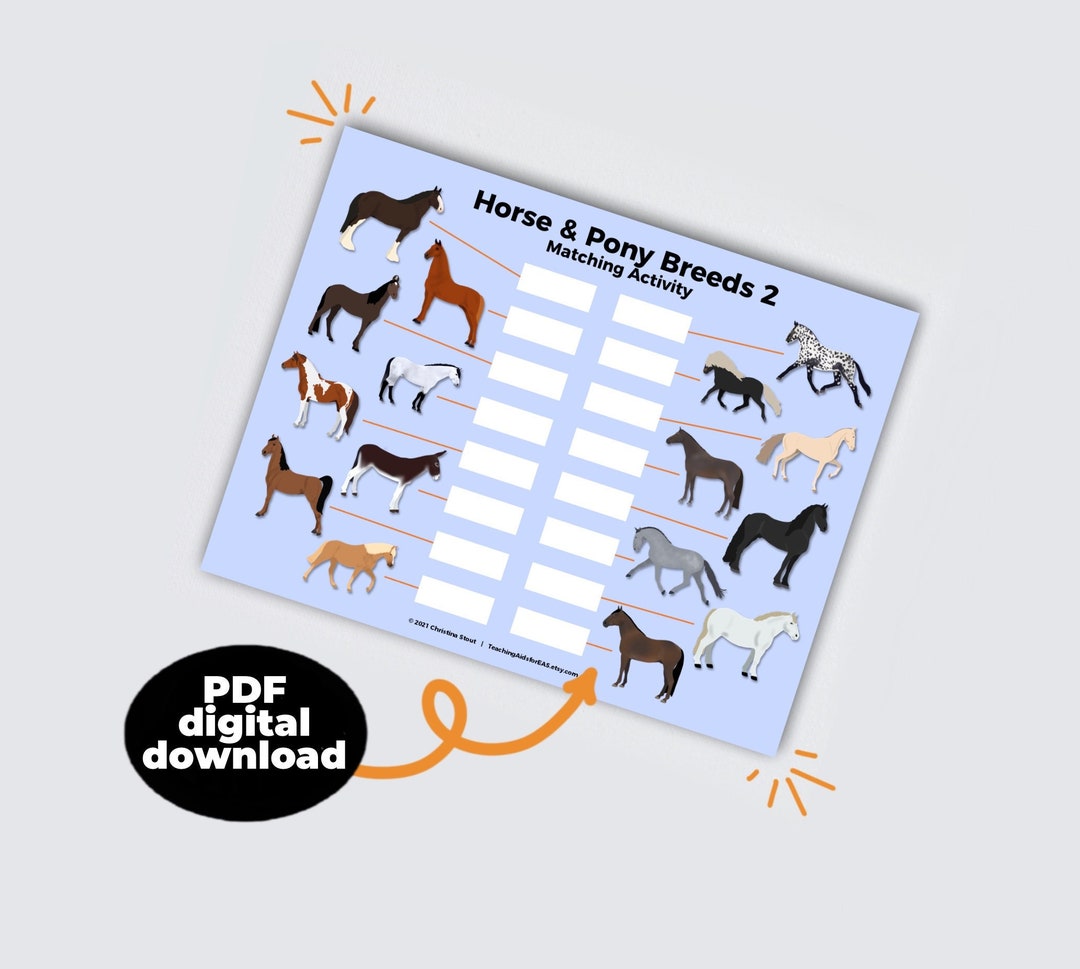 Horse Breeds 2 | Matching Game | Teaching Tools for Adaptive Riding ...