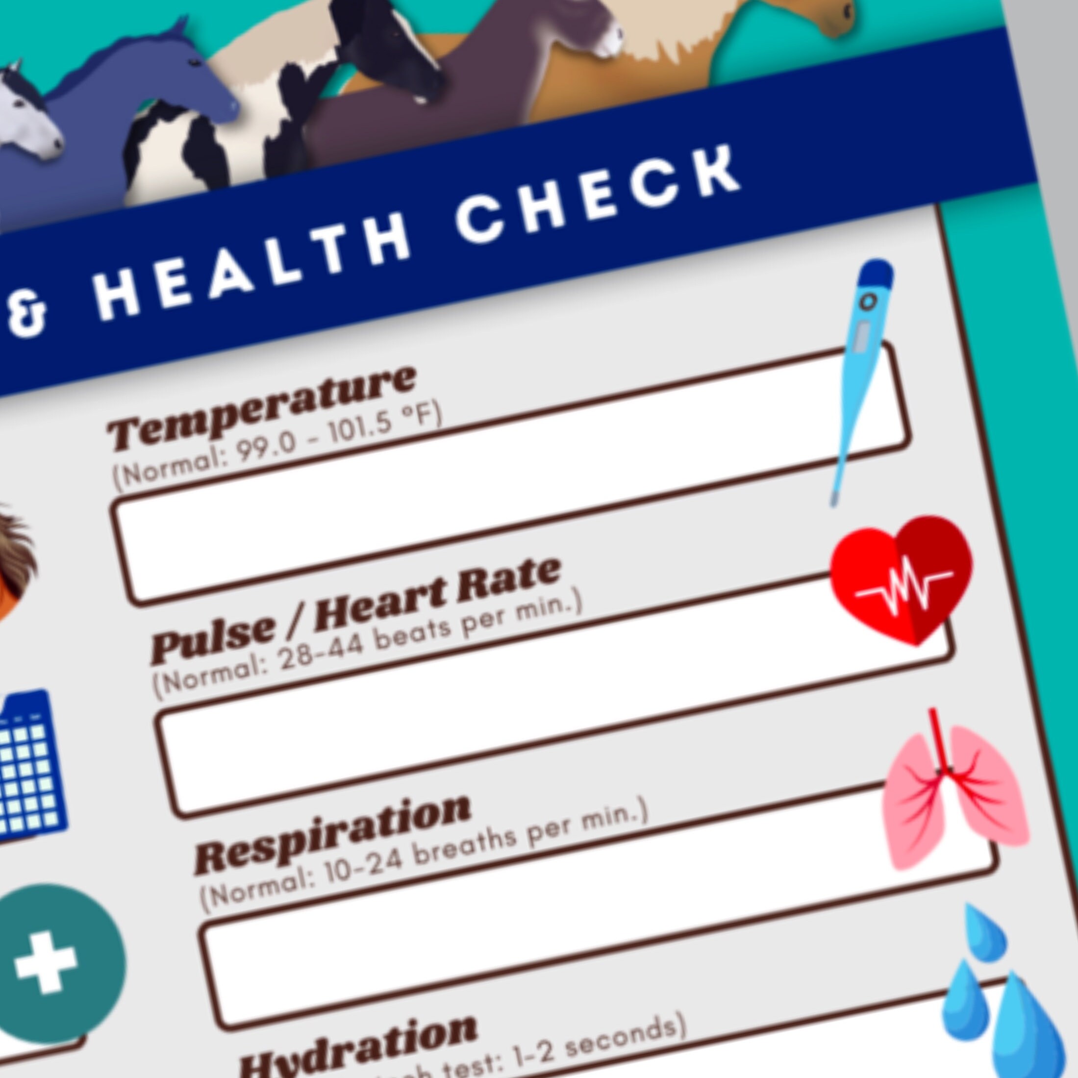 Horse Profile & Health Check Printable Horsemanship Activities Teaching ...