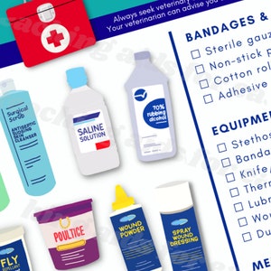 Equine First Aid Kit | Printable Horsemanship Activities | Teaching ...
