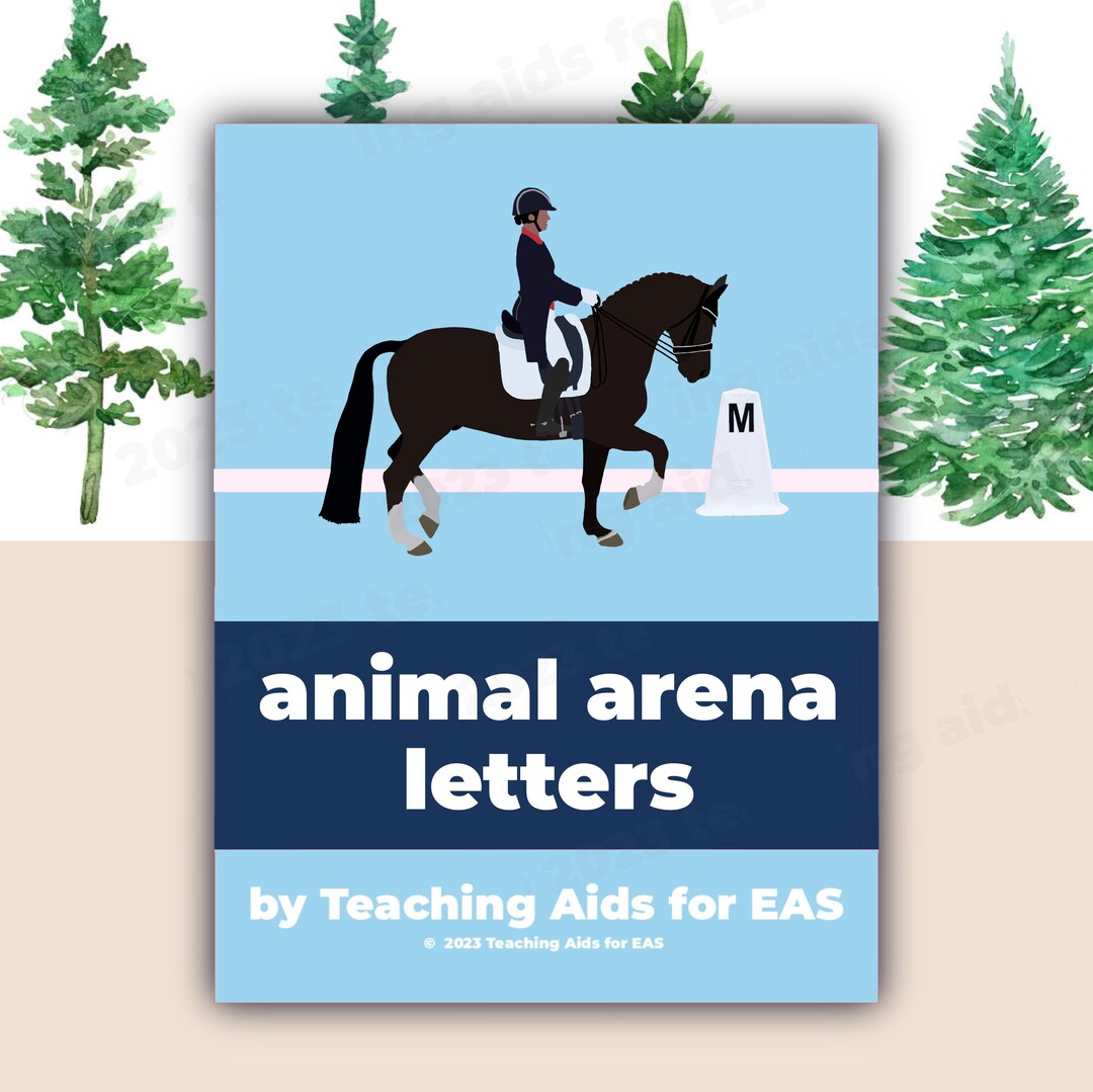Animal Arena Letters | 8 Full-color Illustrated Flashcards | Teaching ...