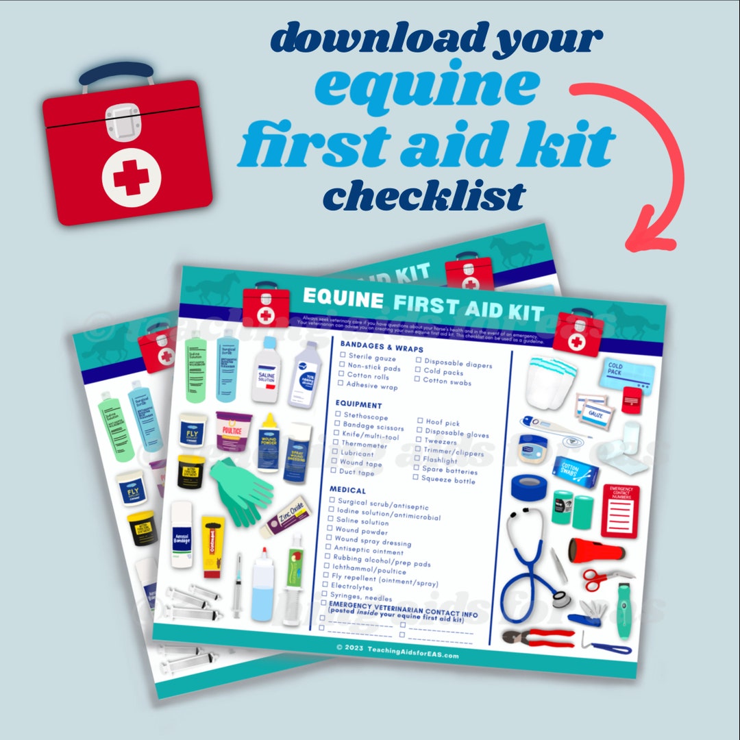 Equine First Aid Kit | Printable Horsemanship Activities | Teaching ...