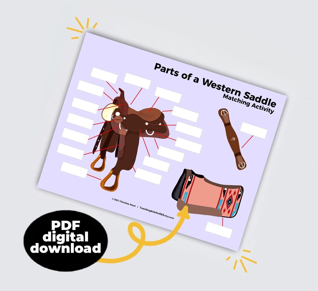 Parts of Western Saddle Matching Game | Teaching Tools for Adaptive ...