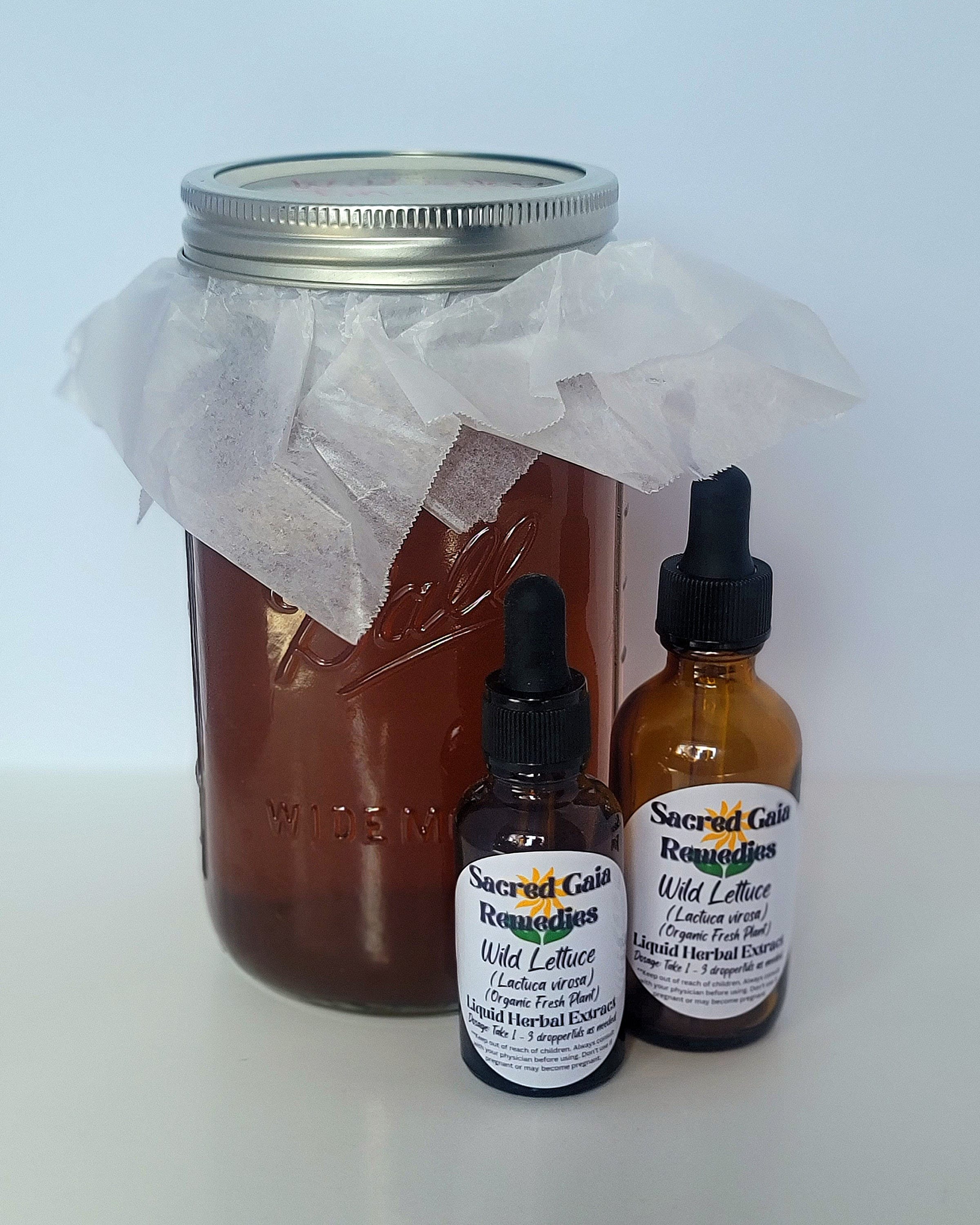 Wild Lettuce Tincture Extract Opium Sedative Sleep Insomnia Natural