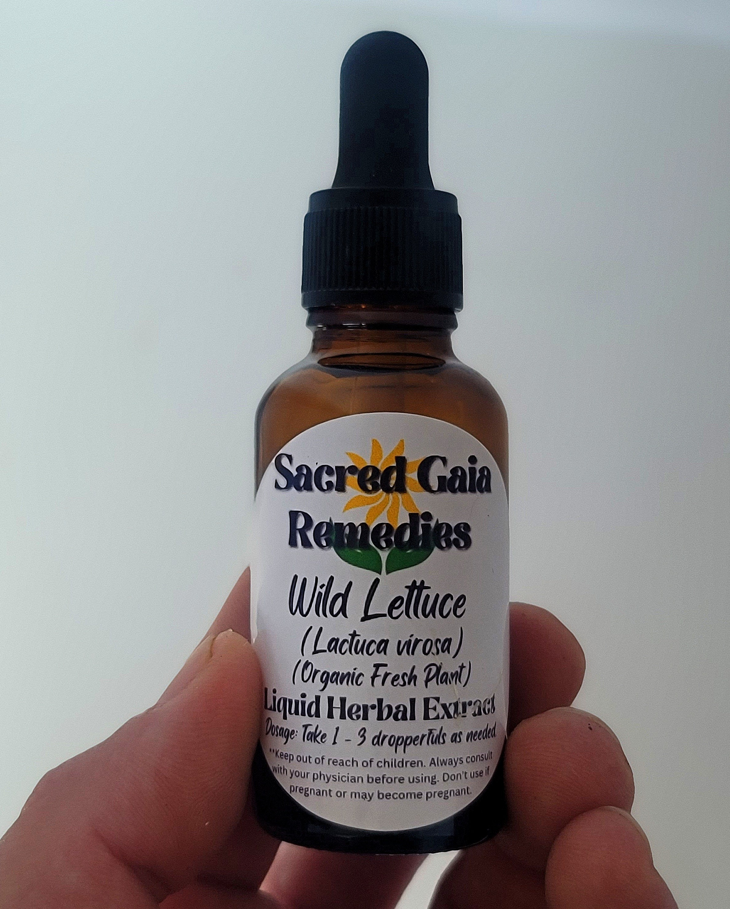 Wild Lettuce Tincture Extract Opium Sedative Sleep Insomnia Natural
