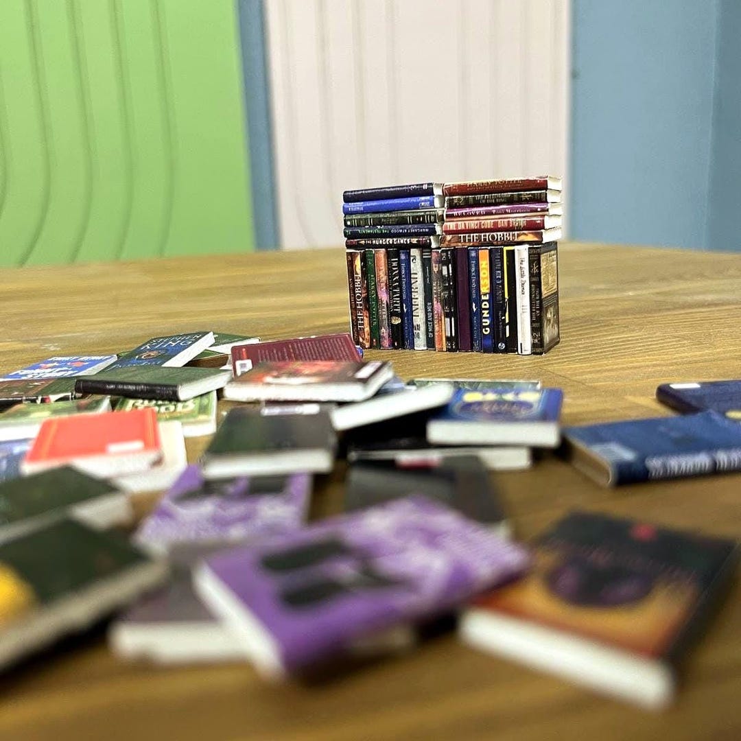 Personalized Mini Books Collection Large Lot: Book Lover Gifts, Tiny ...