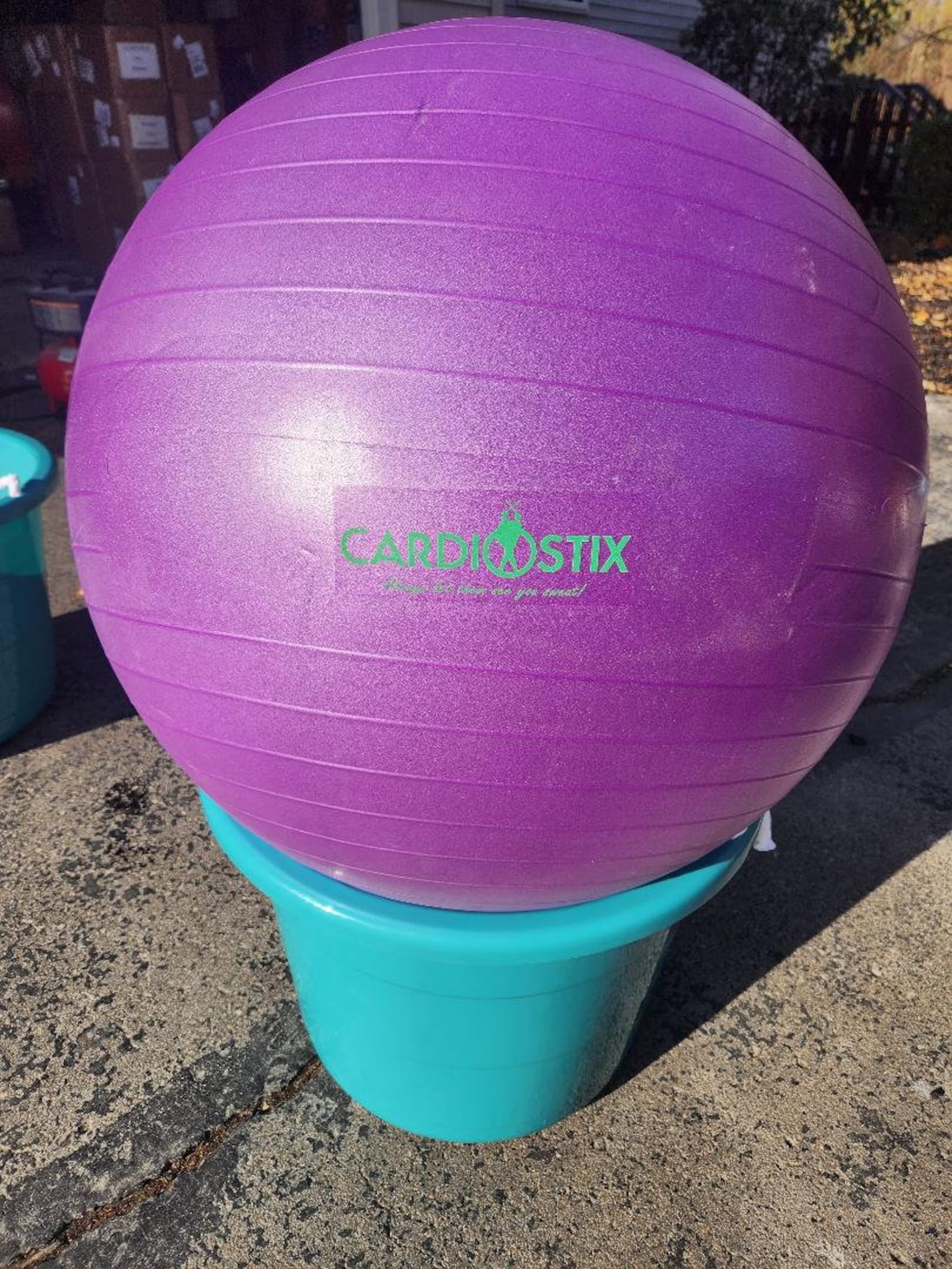 CARDIOSTIX Logo Balls (you Choose 1 Ball) - Etsy