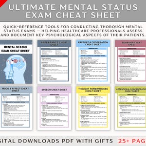 Mental Status Exam Cheat Sheet: MSE Reference & Assessment (digital ...