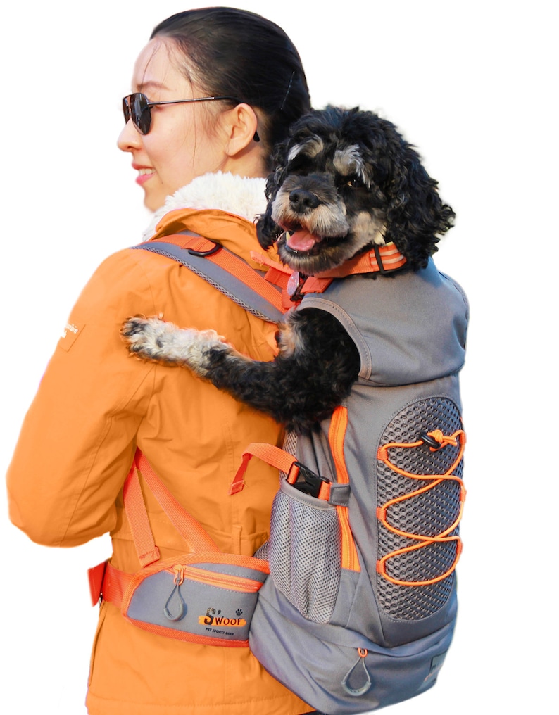 Dog Backpack Carrier for Small/medium Pets, Hiking, Biking - Etsy