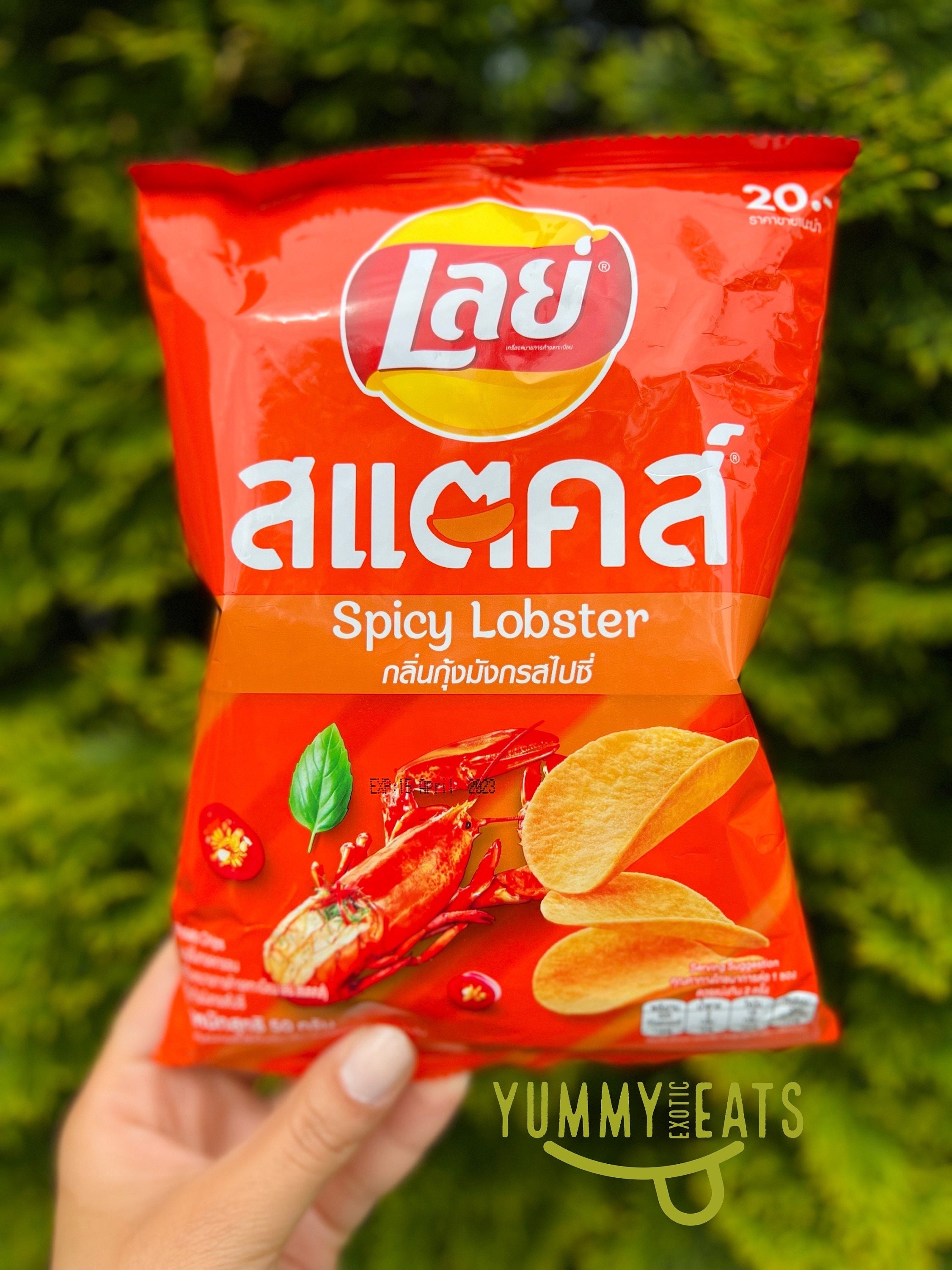 Lays Spicy Lobster Flavored Chips 50 G Etsy