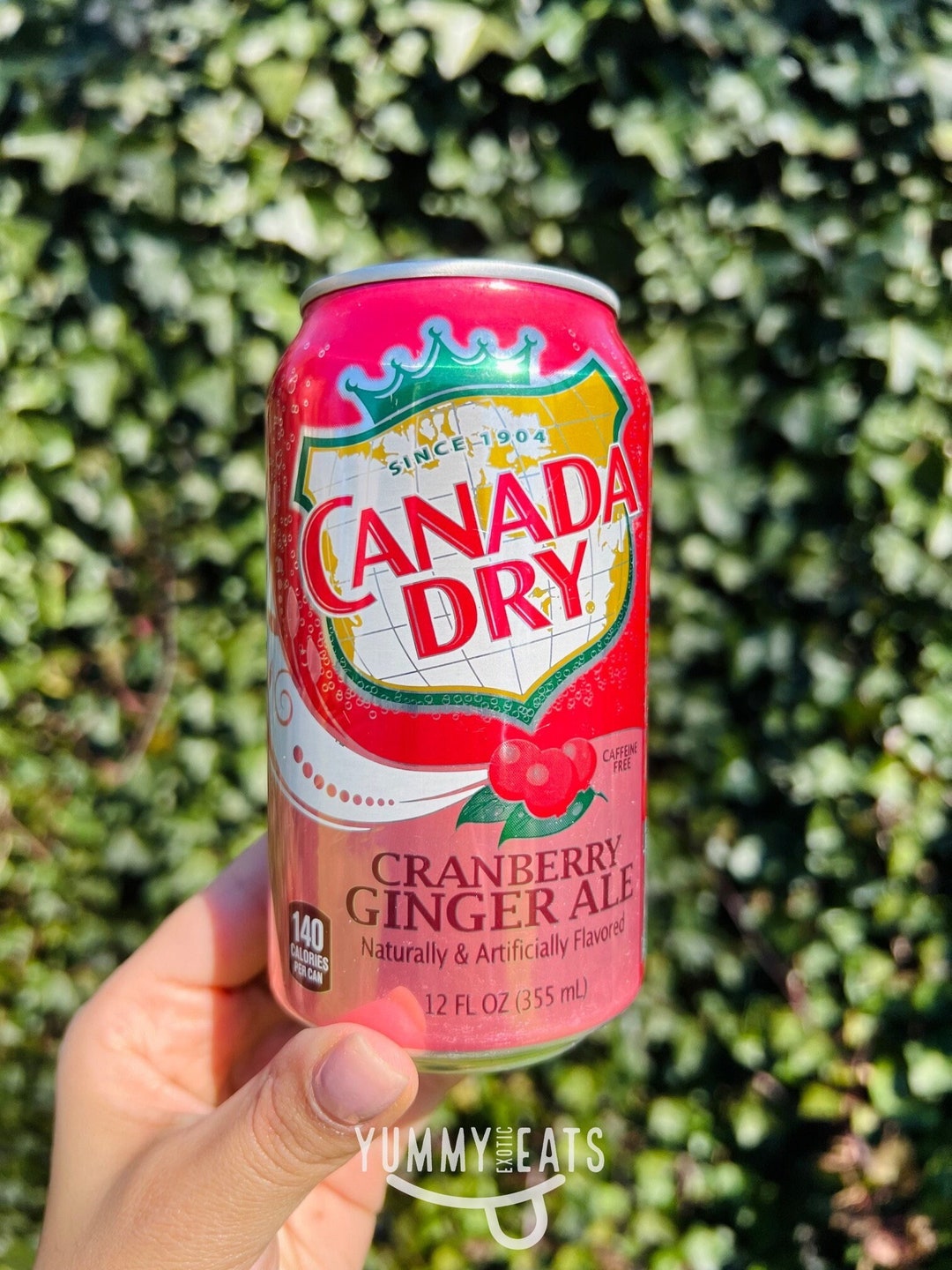 Canada Dry Cranberry Ginger Ale Soda 12 Fl Oz - Etsy