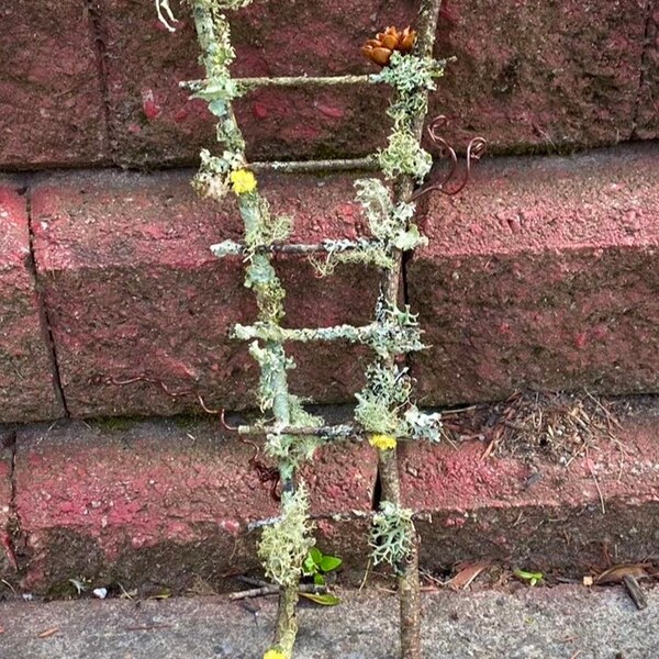 Fairy Garden Ladder - Etsy