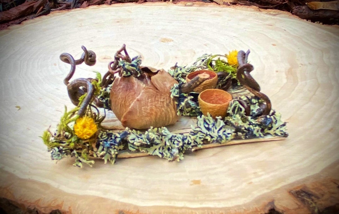 Handcrafted Miniature Birch Bark & Lichen Fairy Tea Serving - Etsy