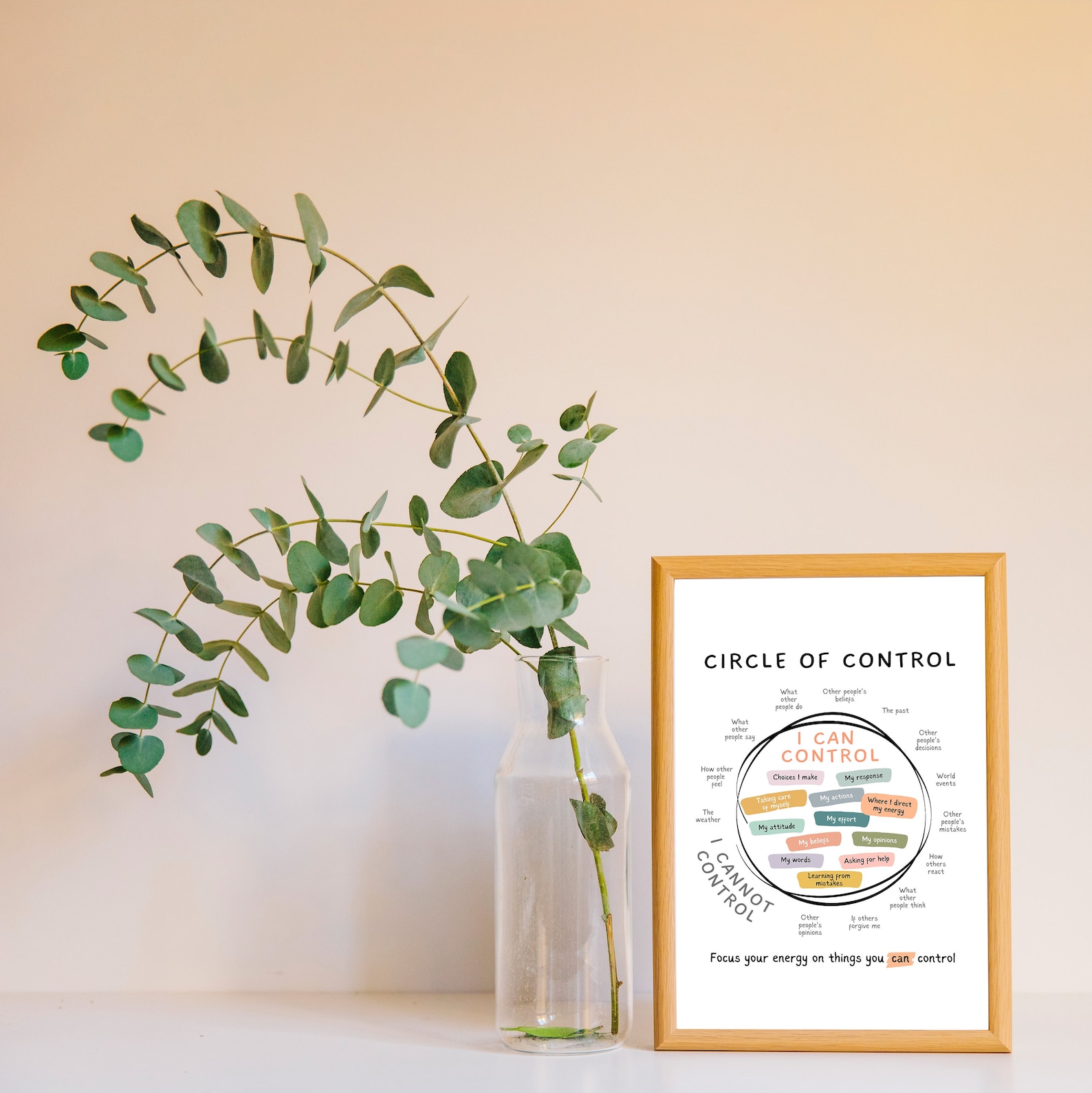 Circle of Control Poster What I Can and Cannot Control Therapy Office ...