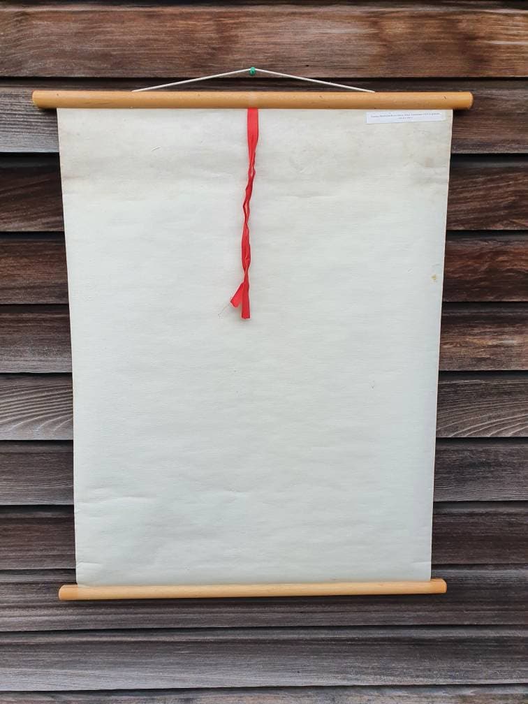 Vintage Handwriting Letters School Chart Pull Down Netherlands Holland ...