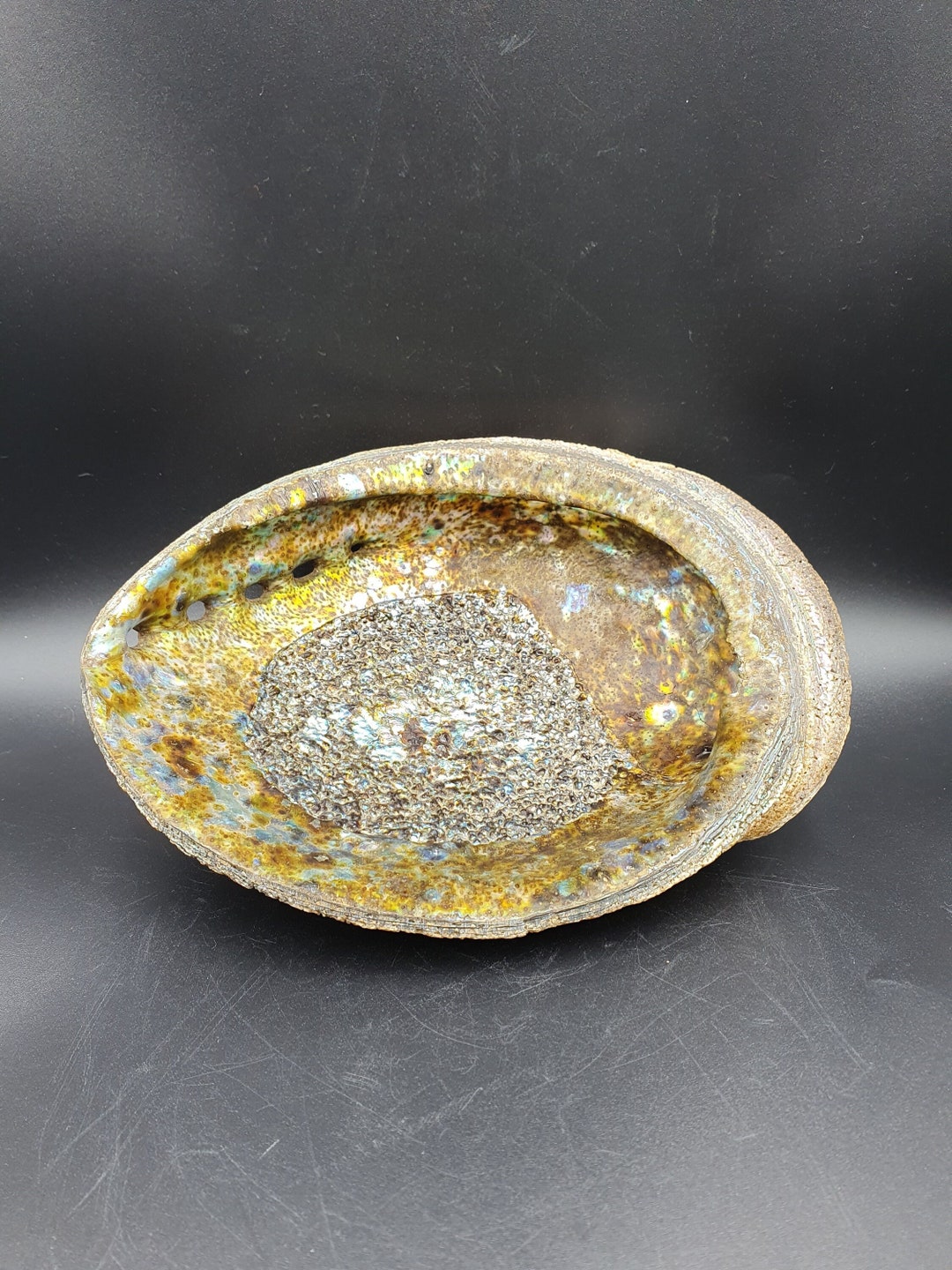 Large Natural Abalone Shell Seashell Smudging Rainbow Smudge Sage - Etsy